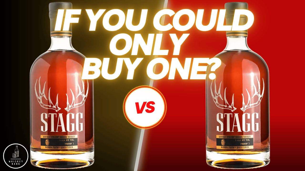 Stagg 24A vs 24B!! Which One is Better?? MAX $$ to PAY for One?? Find ...