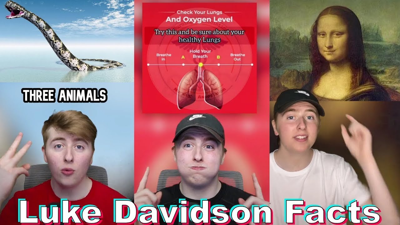 ALL FACTS of @Luke Davidson TikTok Compilation 2022 Luke Davidson # ...
