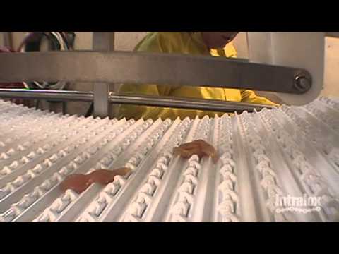 Intralox Conveyor Sanitation Guidelines, Step 1 - YouTube