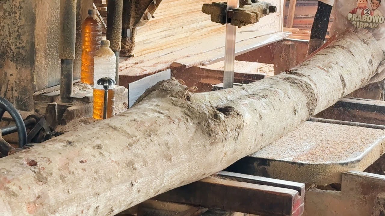 Improve Your Skills, Master Sawing Techniques Like a Professional ...
