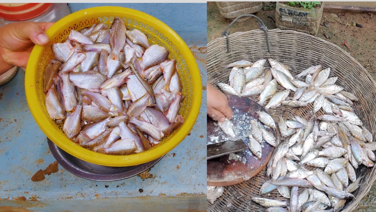 Fresh Fish Preparation: Cleaning, Scaling & Gutting! - YouTube