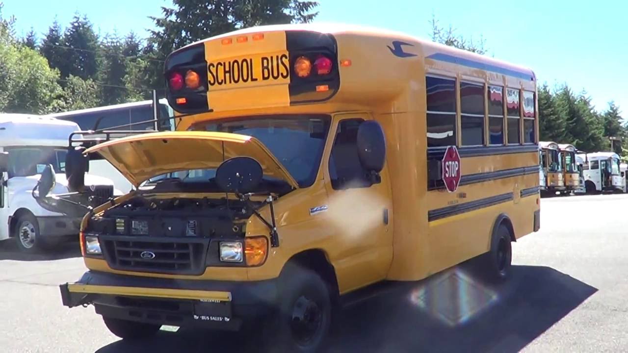 Northwest Bus Sales 2006 Blue Bird Micro Bird 29 Passenger - B24138 ...