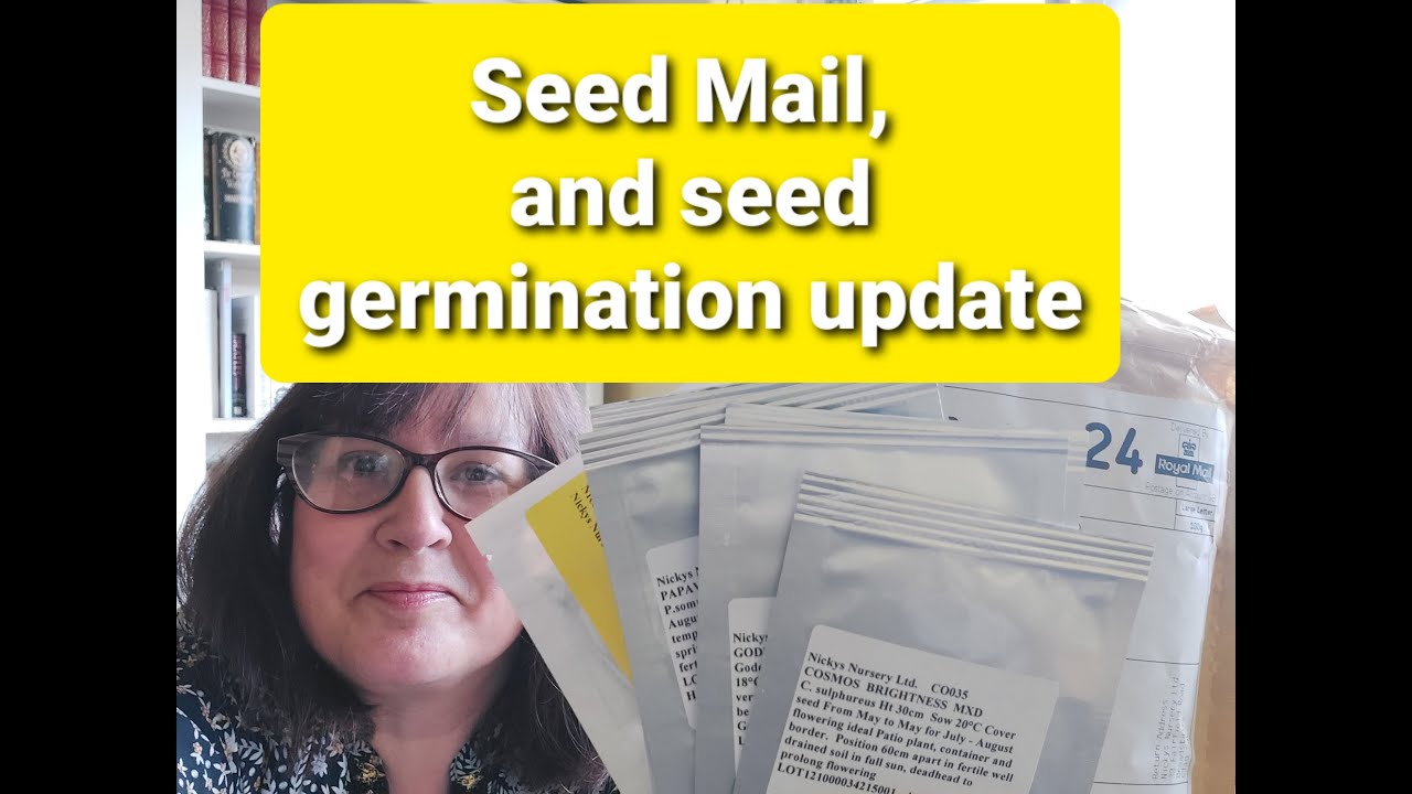 Seed Mail📬 and Seed germination update - YouTube