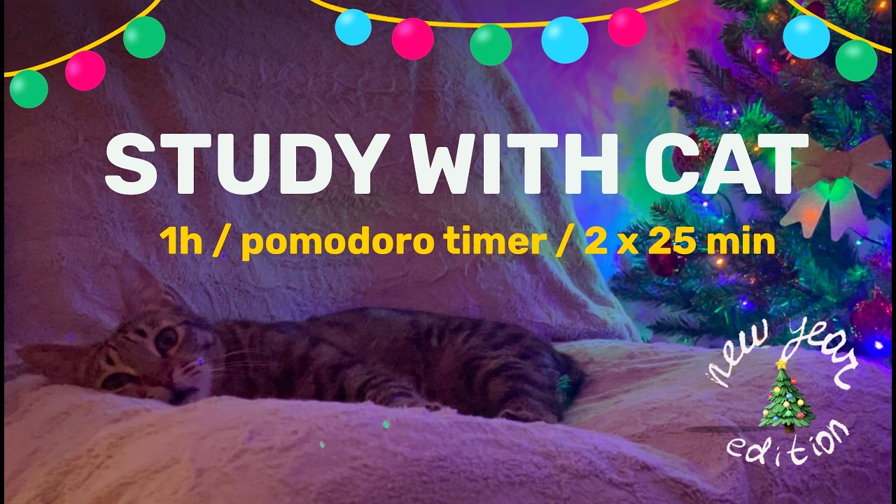 1 HOUR || Study with REAL cat || 25x5 Pomodoro timer || Lo-fi - YouTube