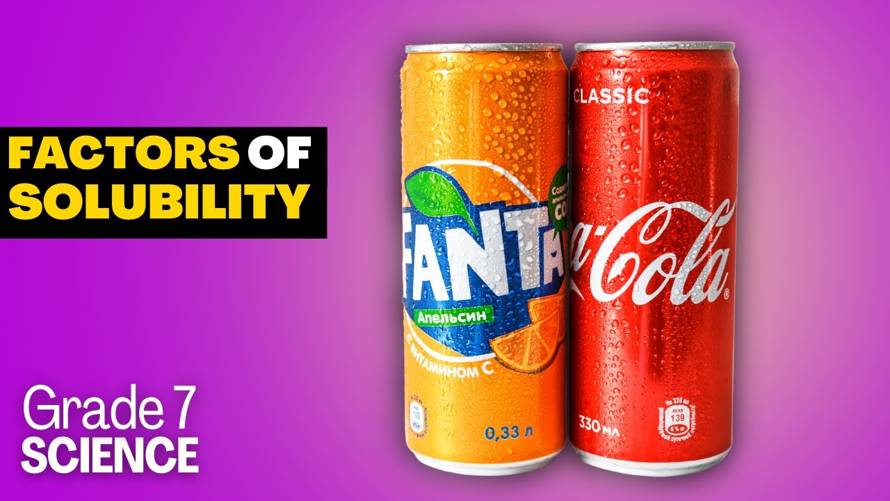 Grade 7 Science #10: FACTORS OF SOLUBILITY - YouTube