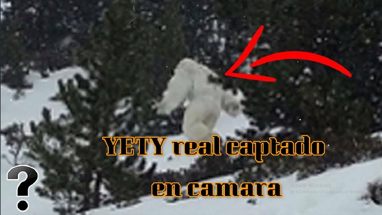 [YETI] REAL captado en CAMARA en montes de FILIPINAS - YouTube