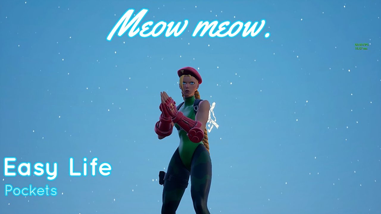Easy Life - Pockets (Fortnite Highlights). Meow meow. - YouTube