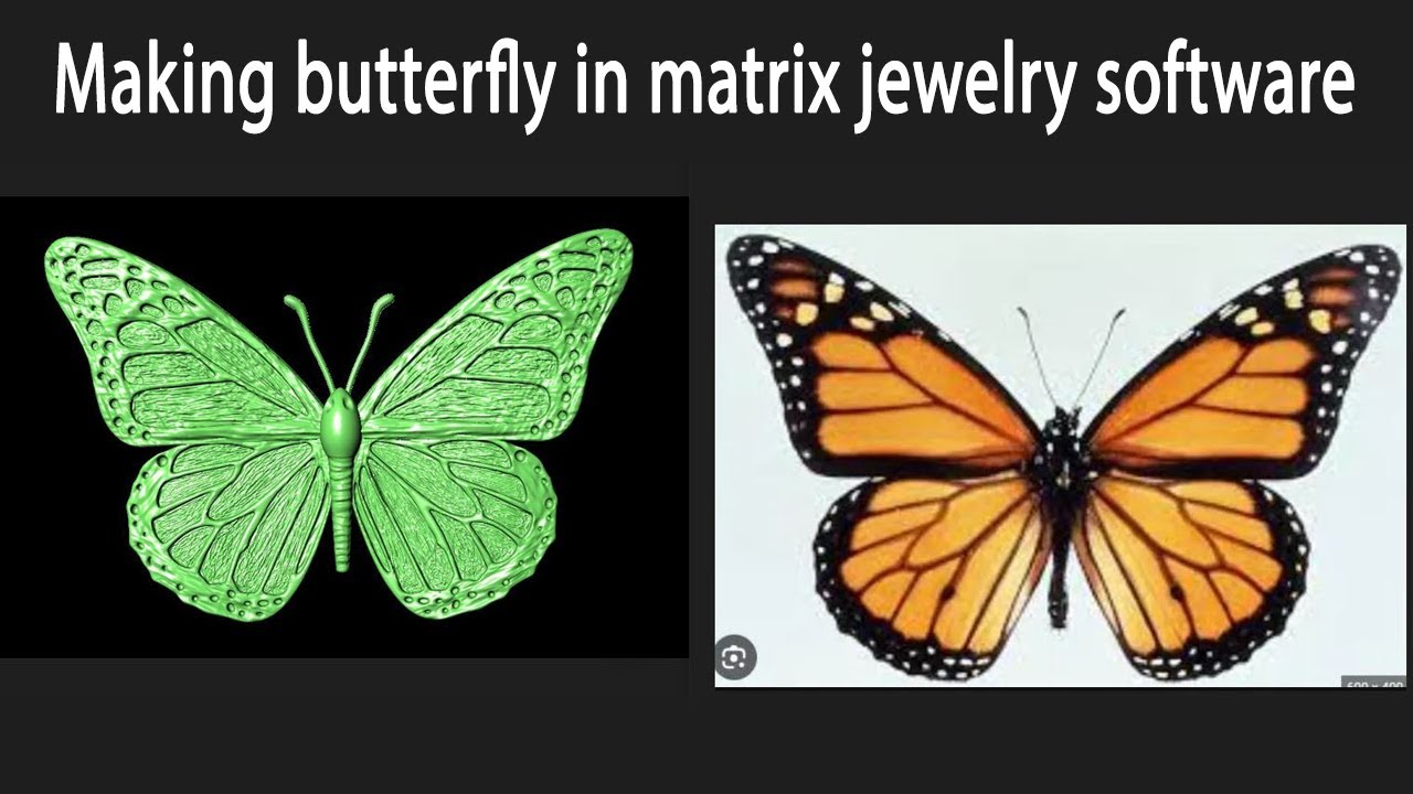 Making butterfly in matrix, rhino jewelry software. - YouTube