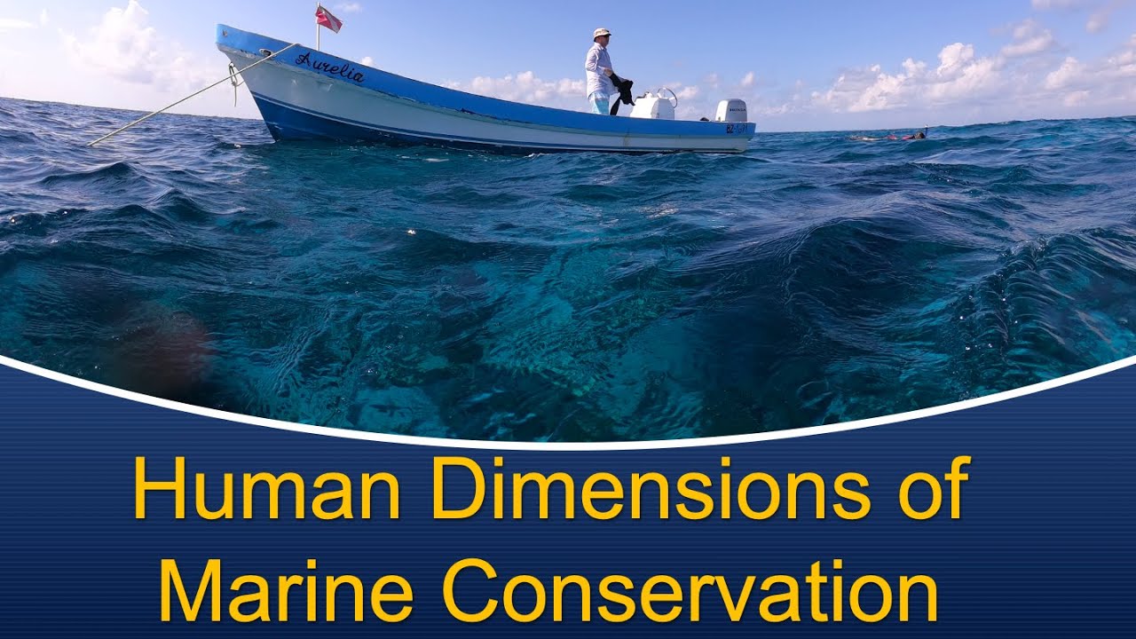 Marine Biology at Home 10: Human Dimensions of Marine Conservation ...