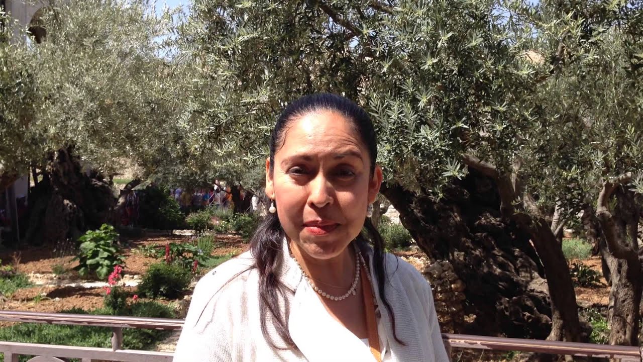 Rosa Maria ordaz, el papa visitará el huerto de los olivos lugar del ...