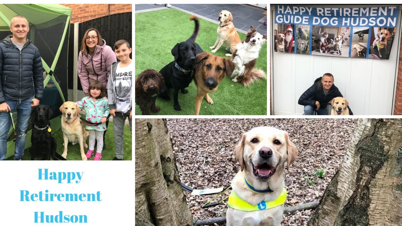 A VERY SPECIAL RETIREMENT PARTY FOR GUIDE DOG HUDSON - YouTube