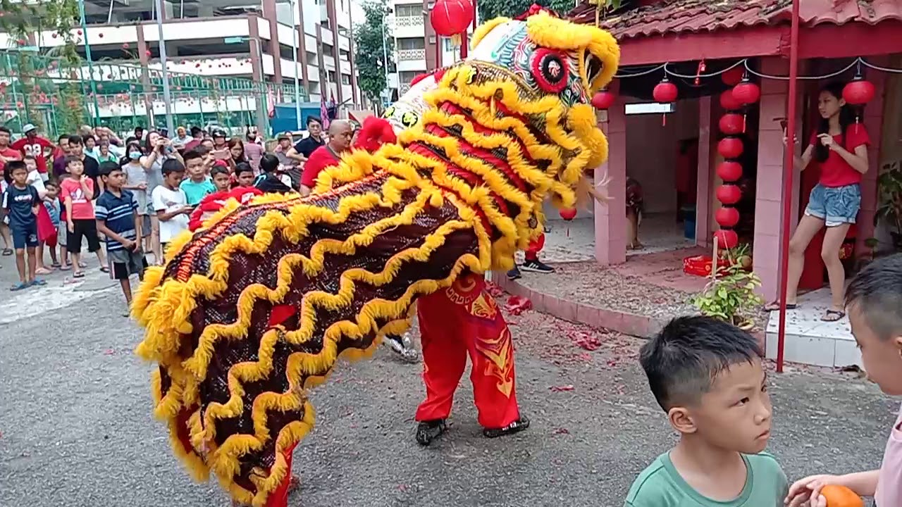 TARIAN SINGA / BARONGSAI DI SRI PELANGI CONDOMINIUM - YouTube