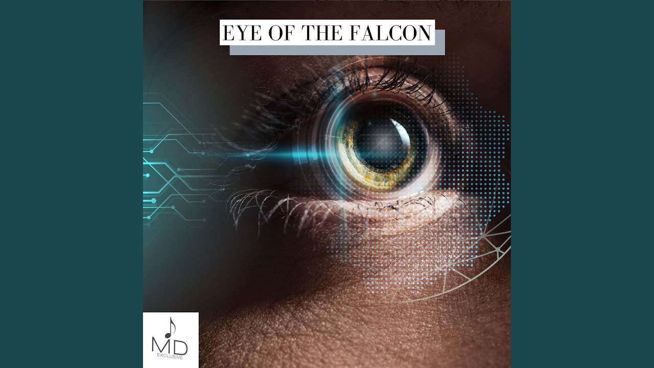 Eye Of The Falcon - YouTube