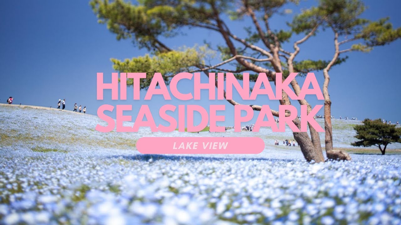 Hitachinaka Seaside Park - Lake View ️ - YouTube