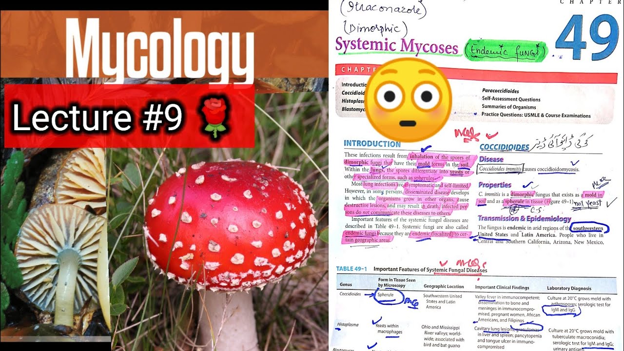 Systemic Mycoses Lec 9 Chap 49 mycology Coccidioides histoplasma blastomyces systemic-mycoses-lec-9-chap-49-mycology-coccidioides-histoplasma-blastomyces