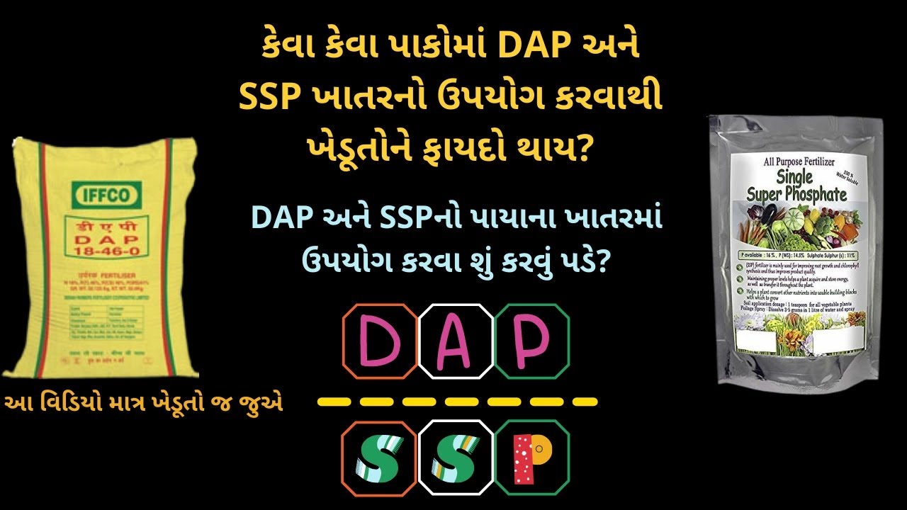 DAP Vs SSP Iffco DAP & SSP Fertilizer price Diammonium phosphate ...