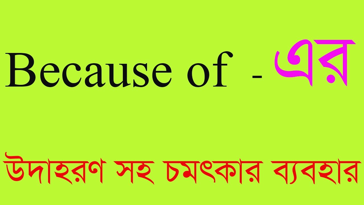 Because of এর ব্যবহার ‍all prepositions how to use Because of. Because ...