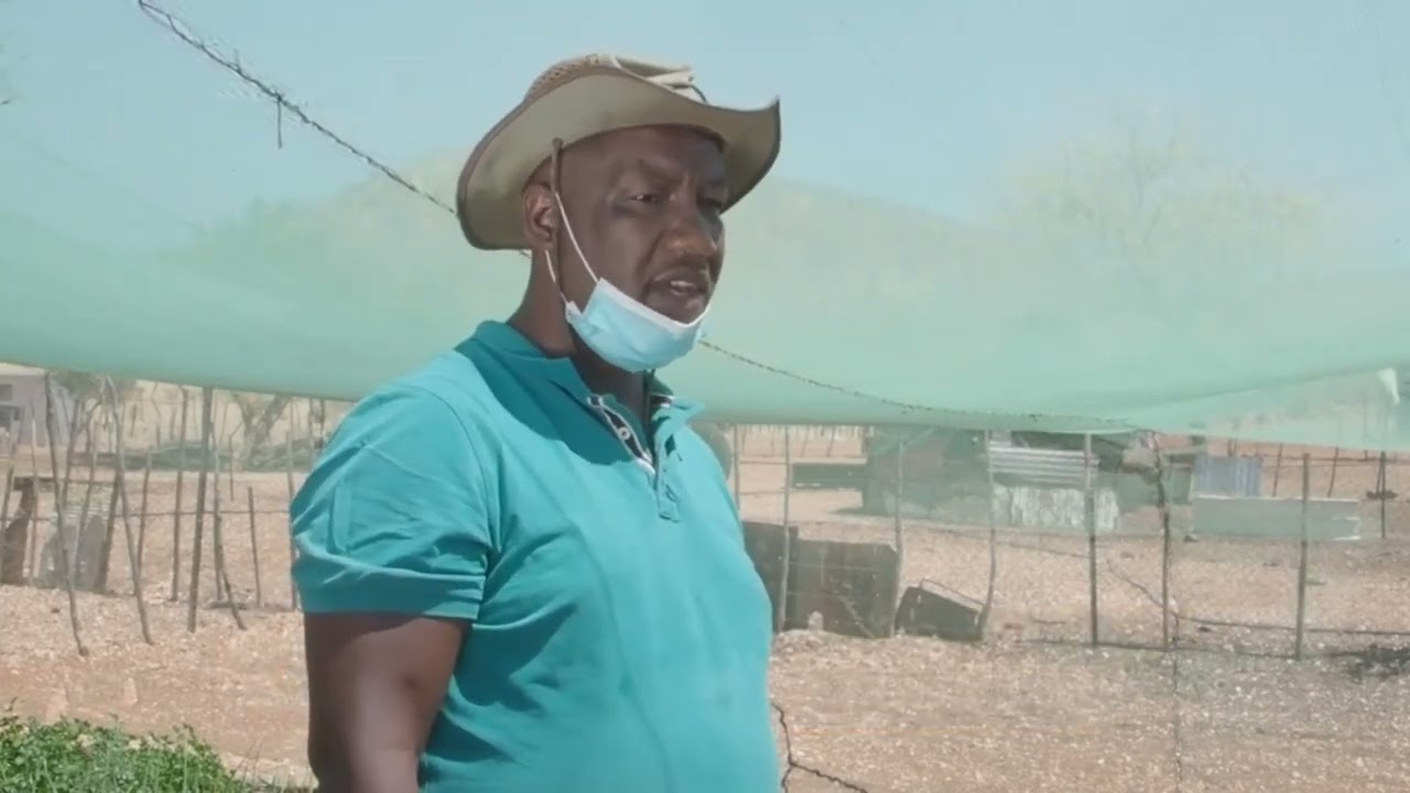 SUCCESSFUL FARMING IN NAMIBIA! Can this be a good example on how to ...