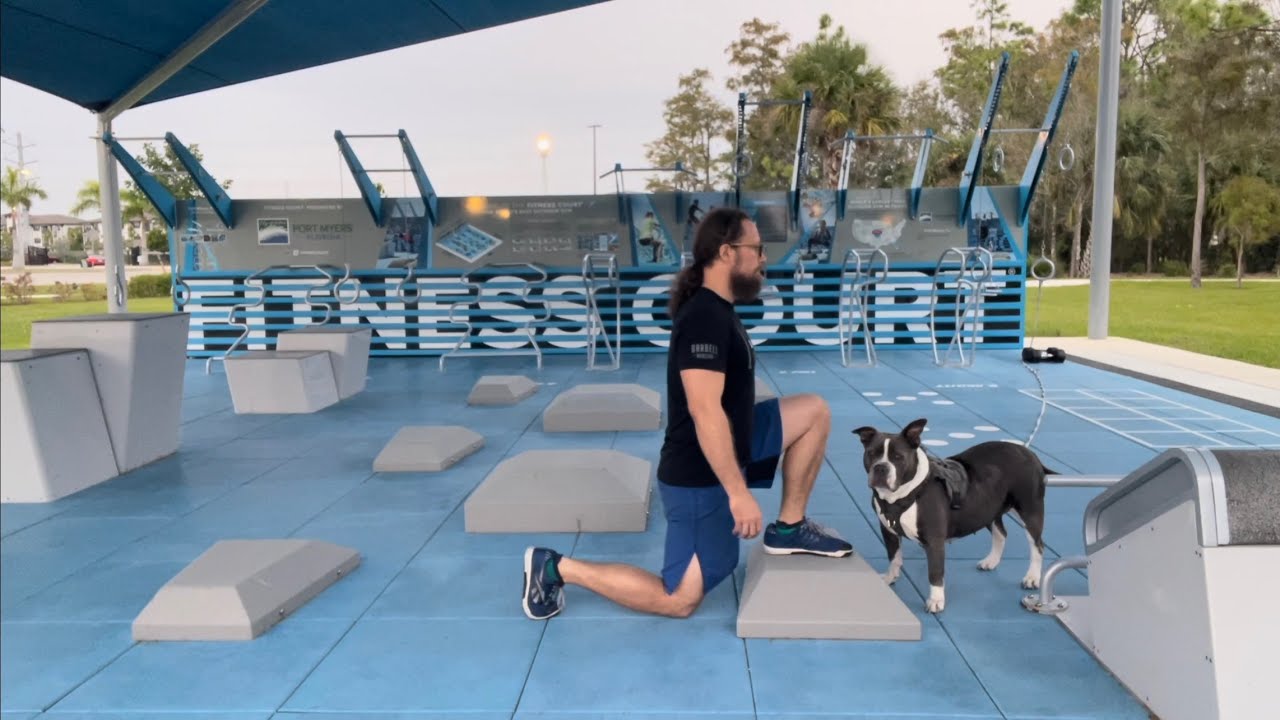 Front Foot Elevated Split Squat (Shin Vertical) Exercise Demonstration ...