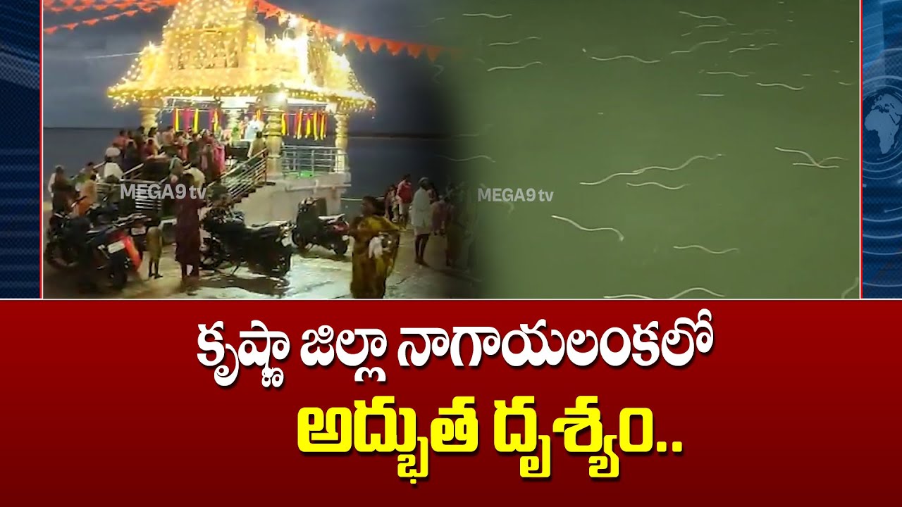 A wonderful sight in Nagayalanka, Krishna district..కృష్ణా జిల్లా ...
