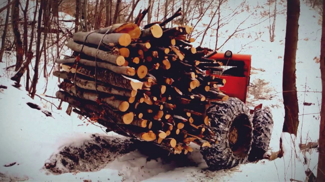 TAF 657-iarna la padure - YouTube