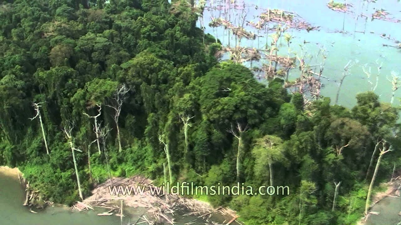 Bird's eye view of Andaman & Nicobar Islands - YouTube