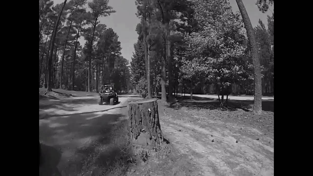 Stump Shot - YouTube