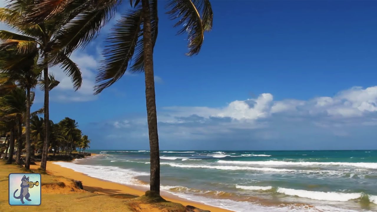 Soothing Beach Scenery Calming Sea Sounds Ocean Waves & The Best Relax ...
