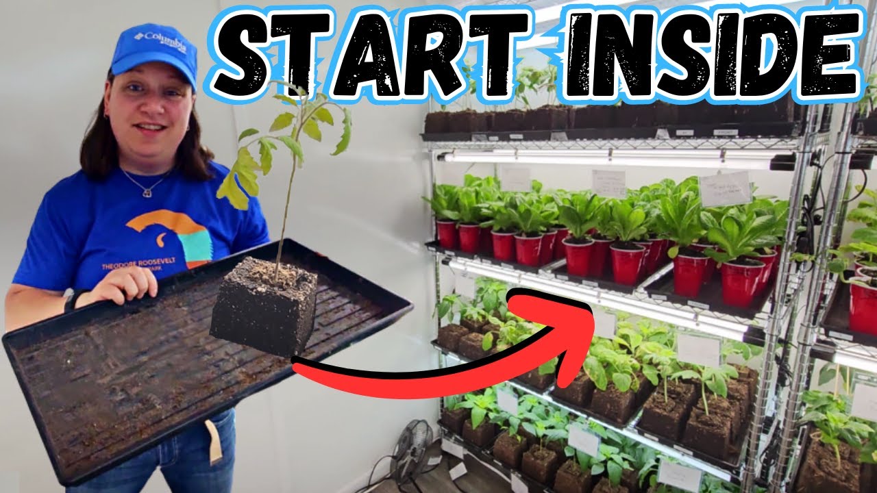 Start Your Plants Indoors! Indoor Seed Starting Setup for Beginners ...