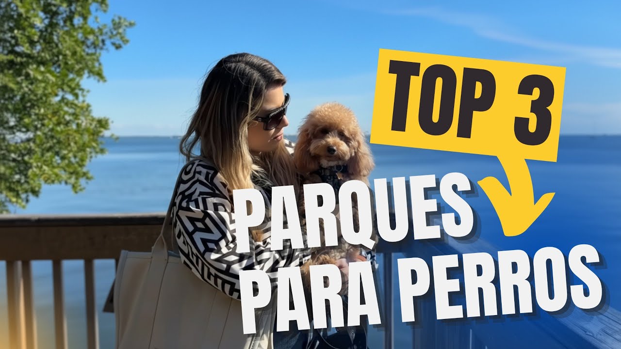 Qué parque para perros elegir en Miami 🦴 Visitamos 3 opciones y esto ...