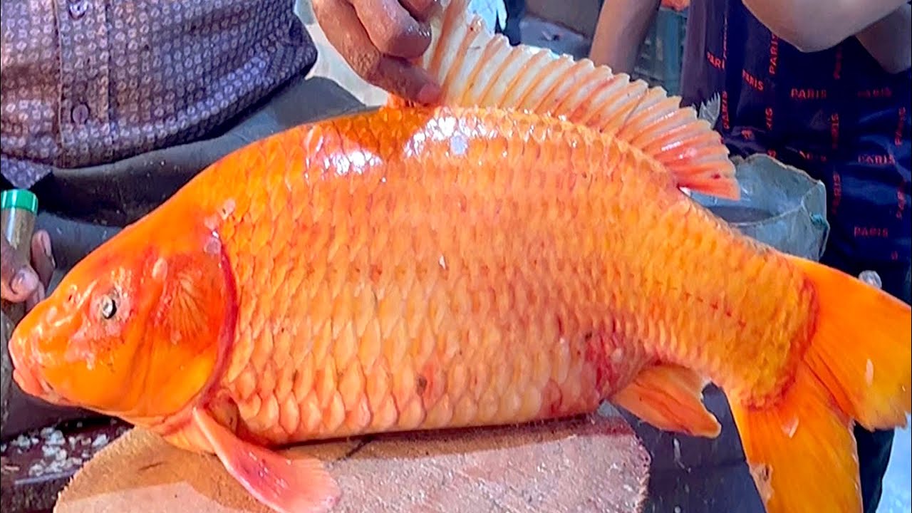 Incredible Big Red Carp Fish Cutting Skill | Fish Cutting Skills - YouTube