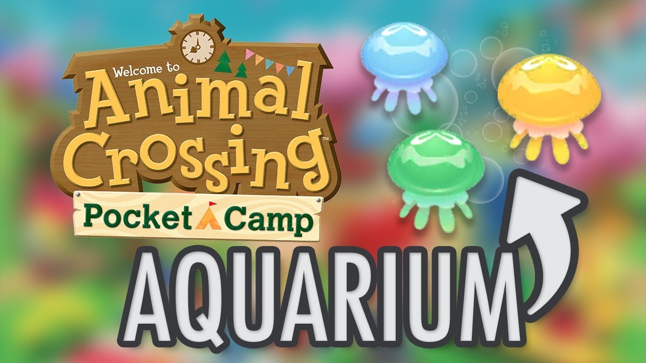 Animal Crossing AQUARIUMS - YouTube