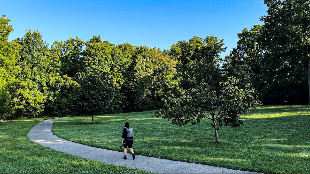 Morning Nature Photography At A Local Park #landscape - YouTube