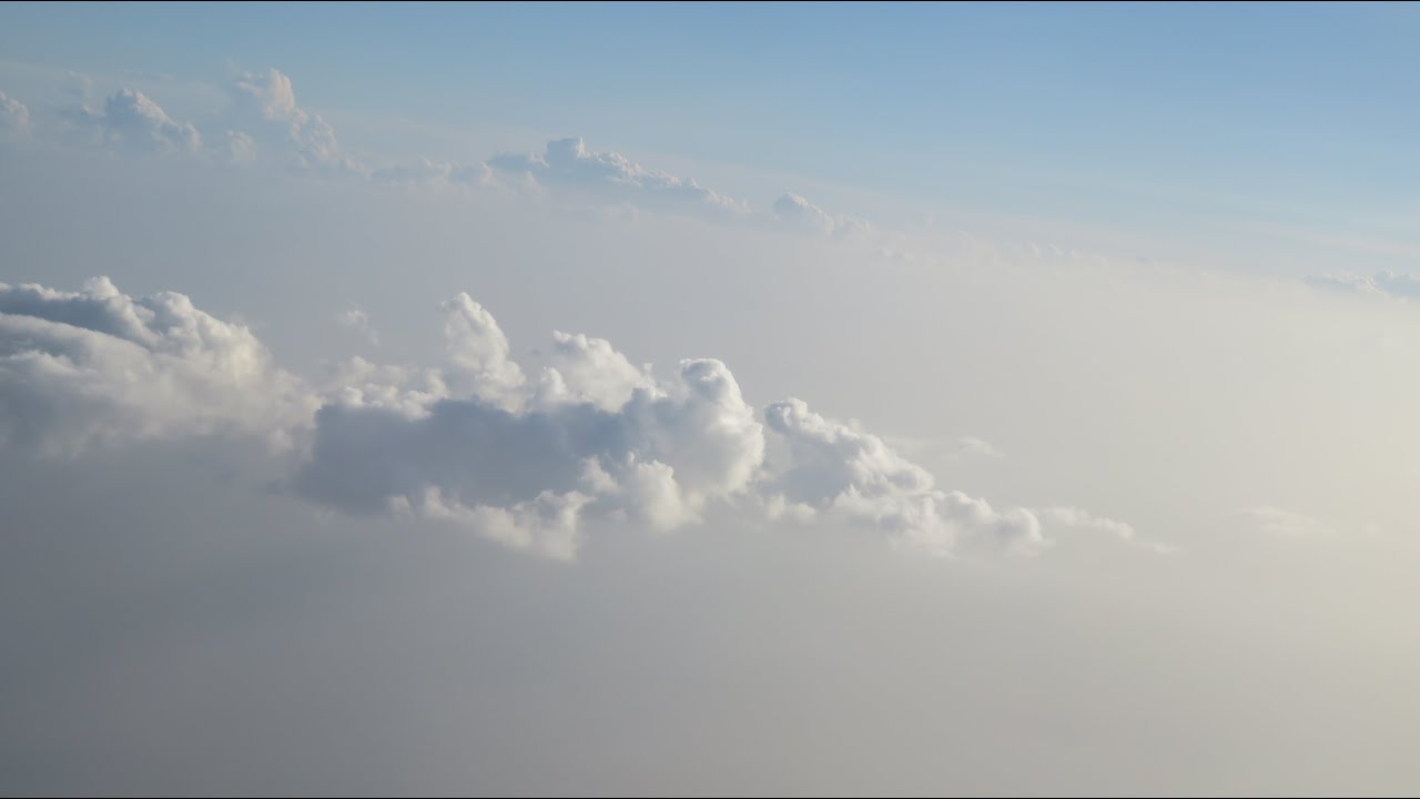 Flowers Ghost - YouTube