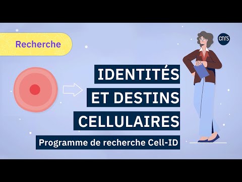PEPR Cell-ID : explorer les identités et destins cellulaires - YouTube