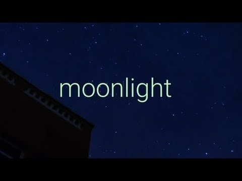 Moonlight//MEME// #animation #animationmemes #animationmeme #furries # ...