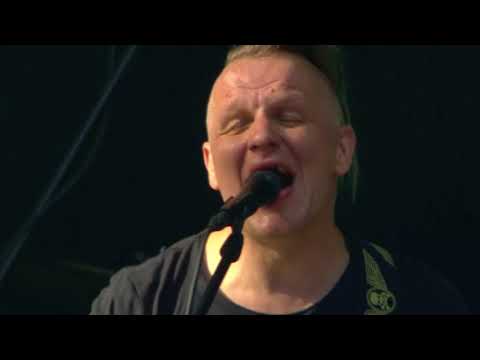 DZELZS VILKS - SESKS - live in POSITIVUS'17