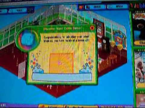 Adopting my webkinz Pink & white cat & Alley cat - YouTube