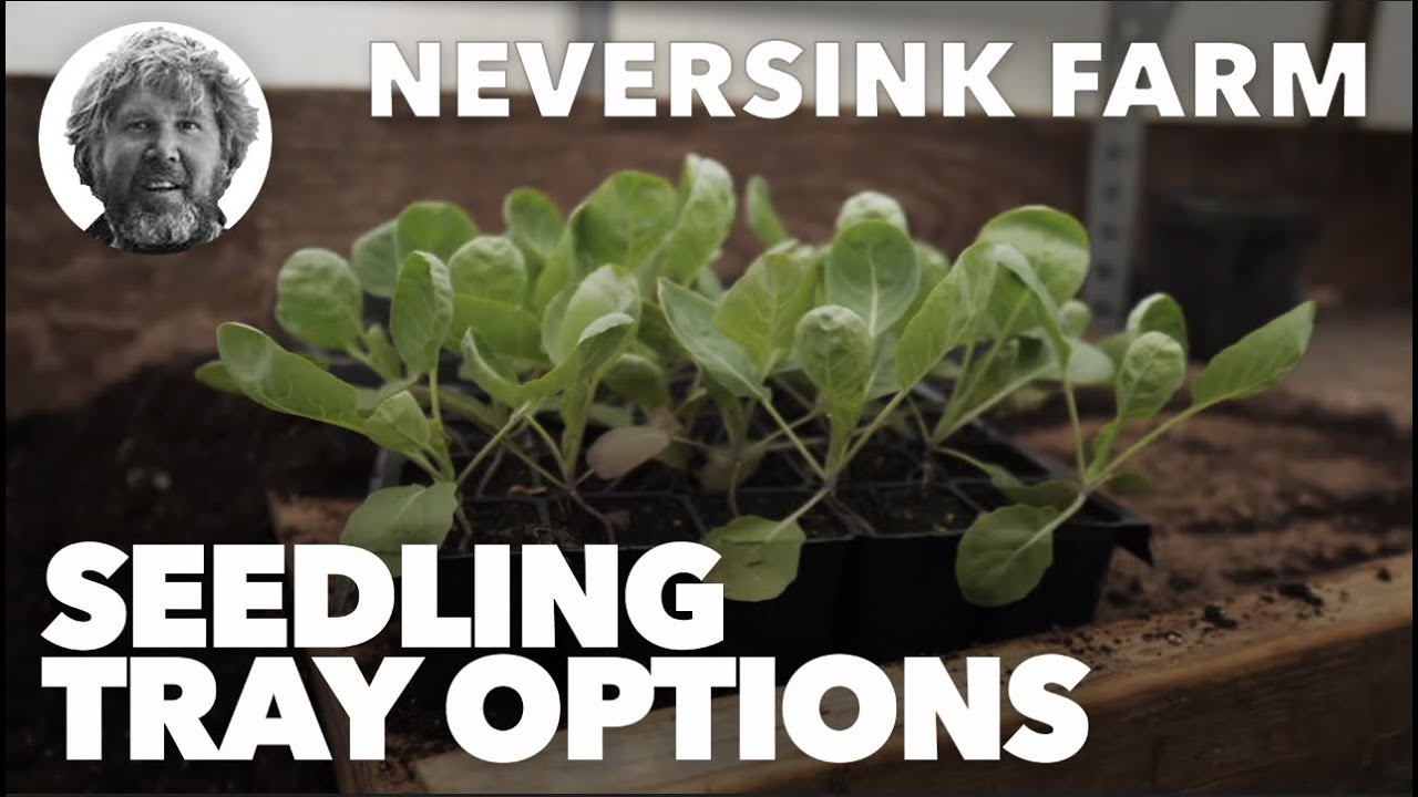 Gardening Basics - Seedling Tray Options - YouTube