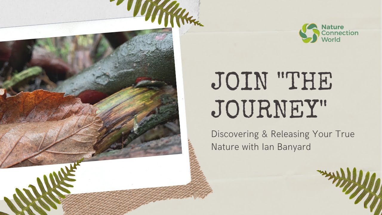 The Journey - a path to discovering & releasing your true nature - YouTube