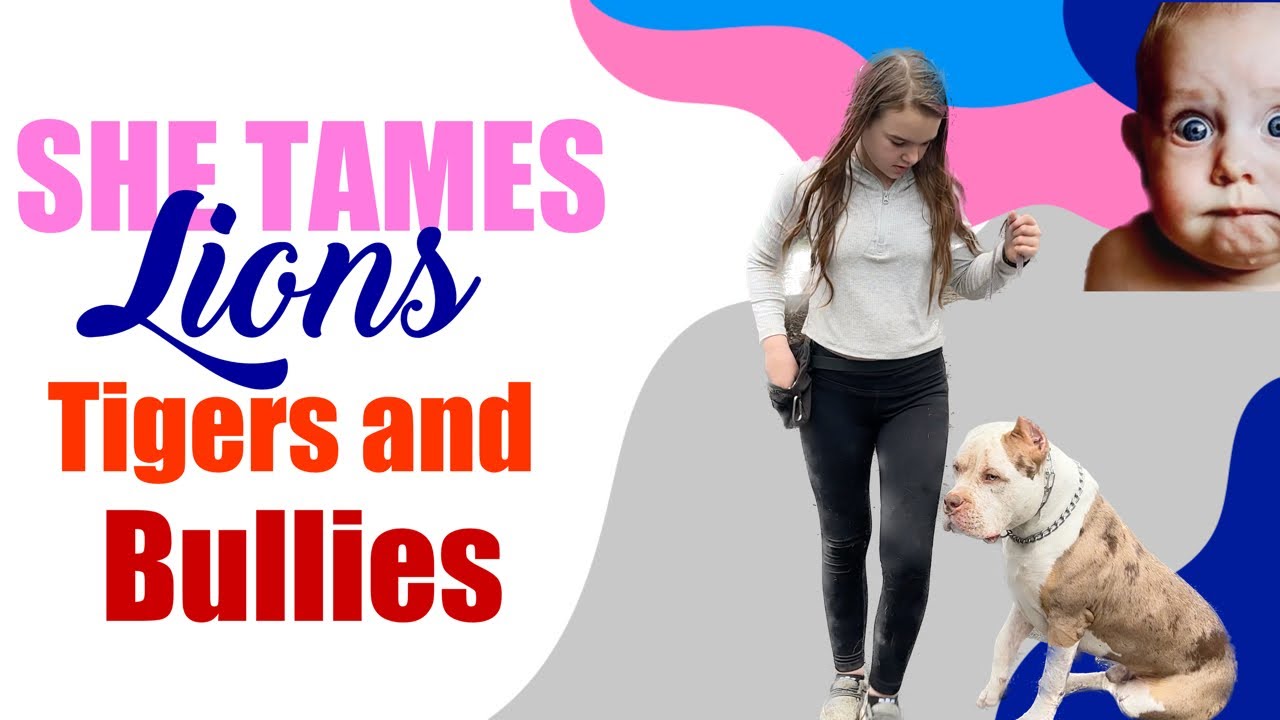 Unlock the Secret to American Bully Training - Ask Alli! - YouTube