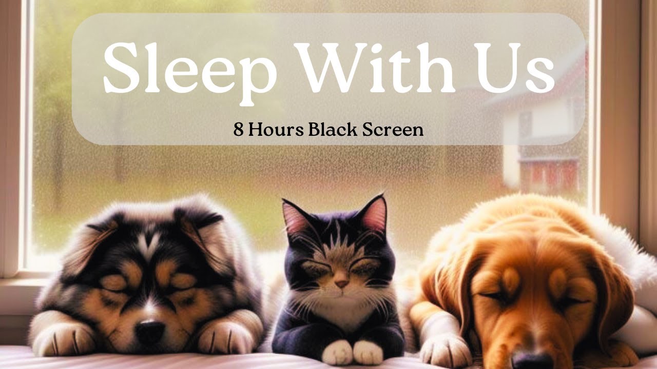 Sleep with Pets | Cat Purring and Dog Snoring Sounds for a Peaceful ...