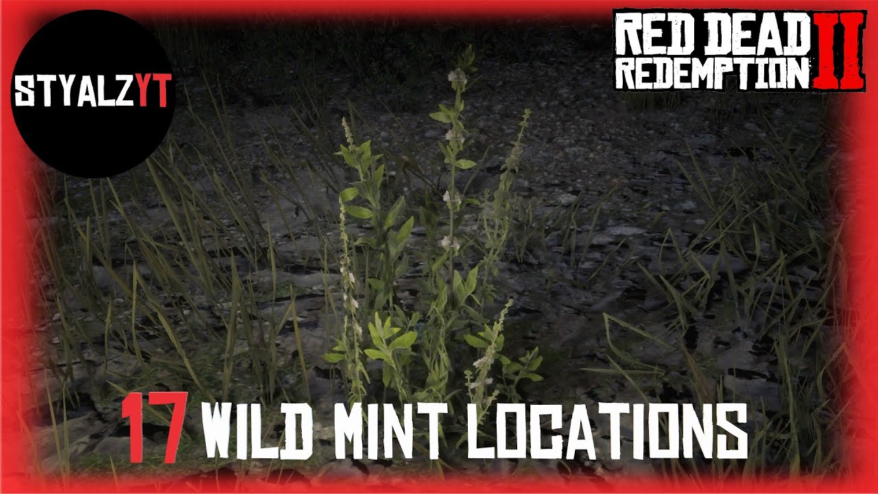 WILD MINT LOCATIONS RDR2 ONLINE **DAILY CHALLENGE** (XBOX & PS4/PS5 ...