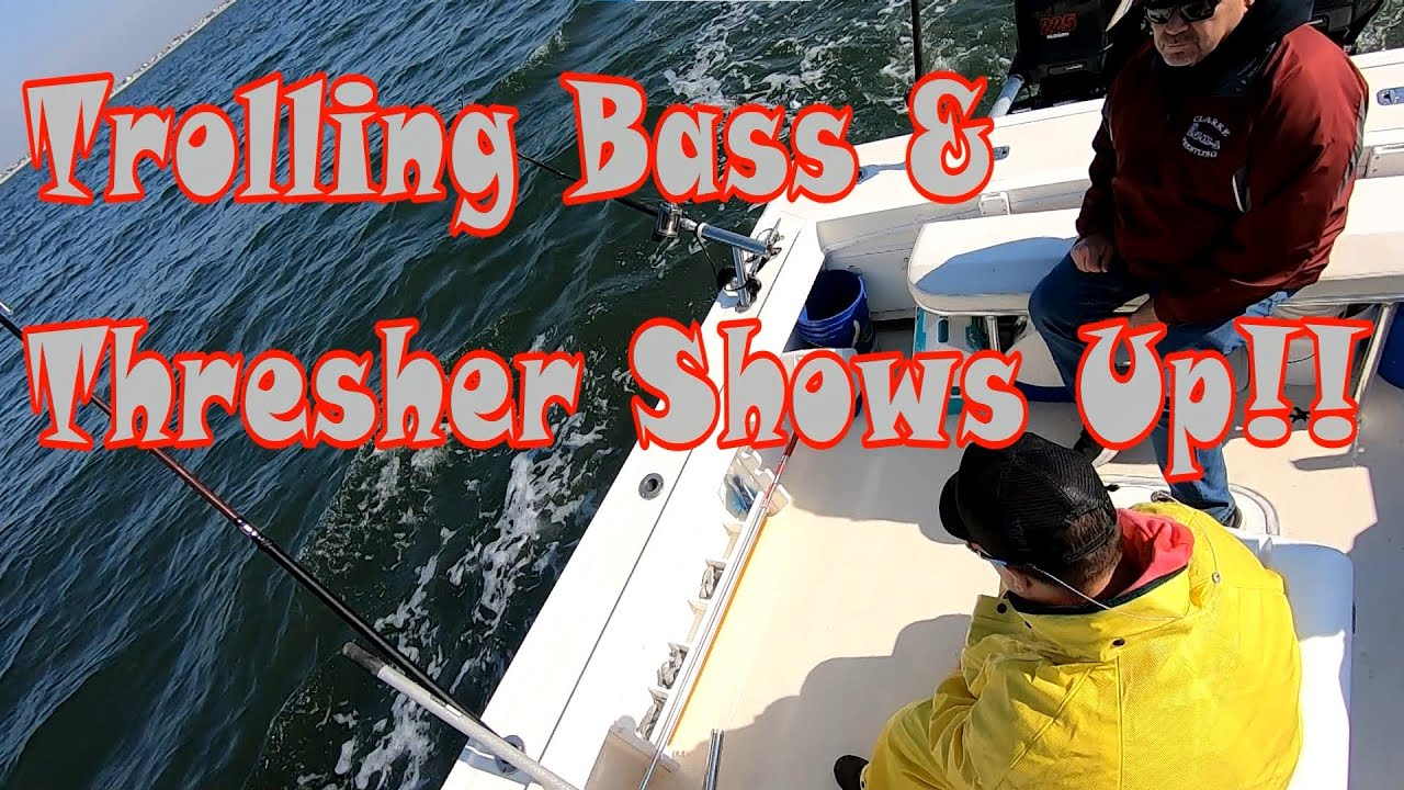 Trolling Striped Bass & 400# Thresher crashes your MoJo Lure - YouTube