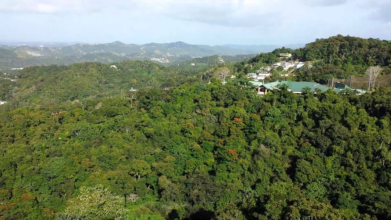 LA MARQUESA GUAYNABO PUERTO RICO DESDE EL MIRADOR - YouTube