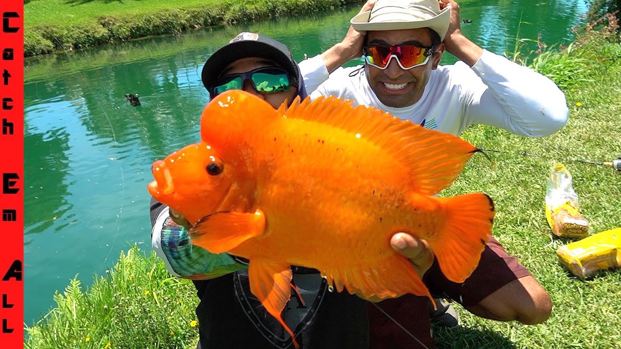 FISHING for MUTANT GIANT RIVER CHICKEN! **Not ClickBait** - YouTube