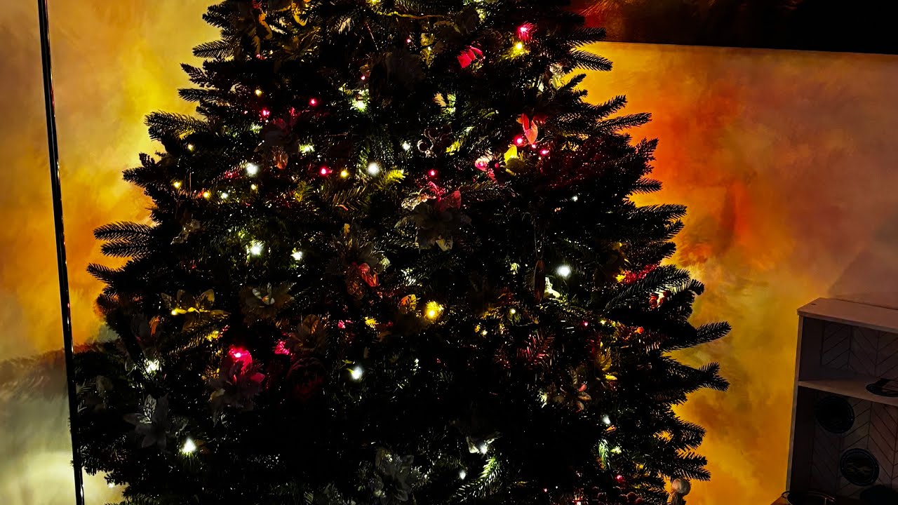 Let’s decorate our Christmas trees with us - YouTube