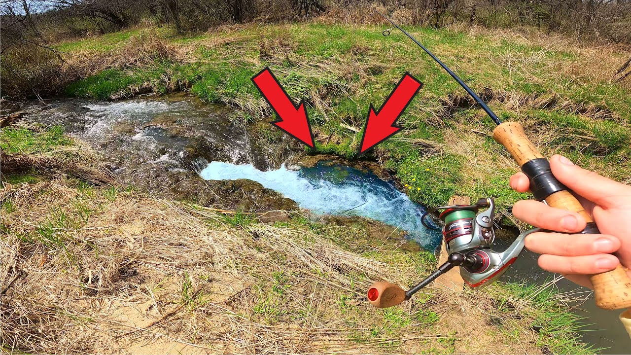I have NEVER seen this MANY TROUT | Small Stream Trout Fishing - YouTube