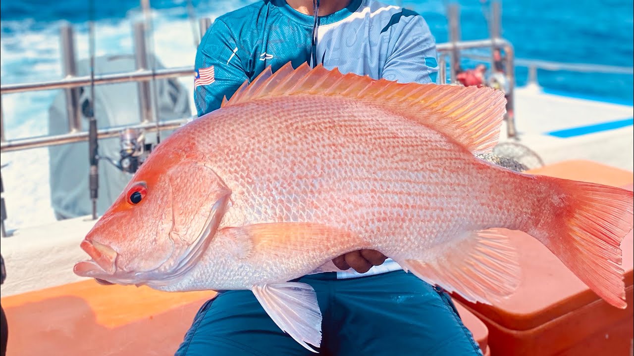 Bottom Drift | Kapten Shahrol(Tod) | UbeyZul Boat Charter - YouTube