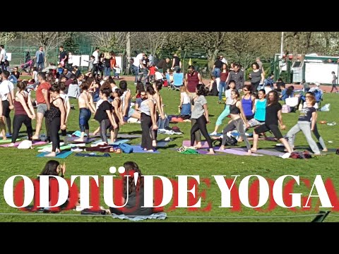 ODTÜ de YOGA Keyfi, Yolculuk Gezi